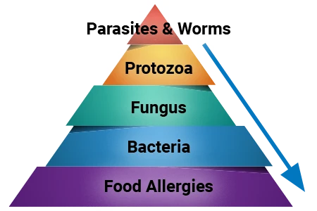 Clinical Revelation | Private Lab Testing Services